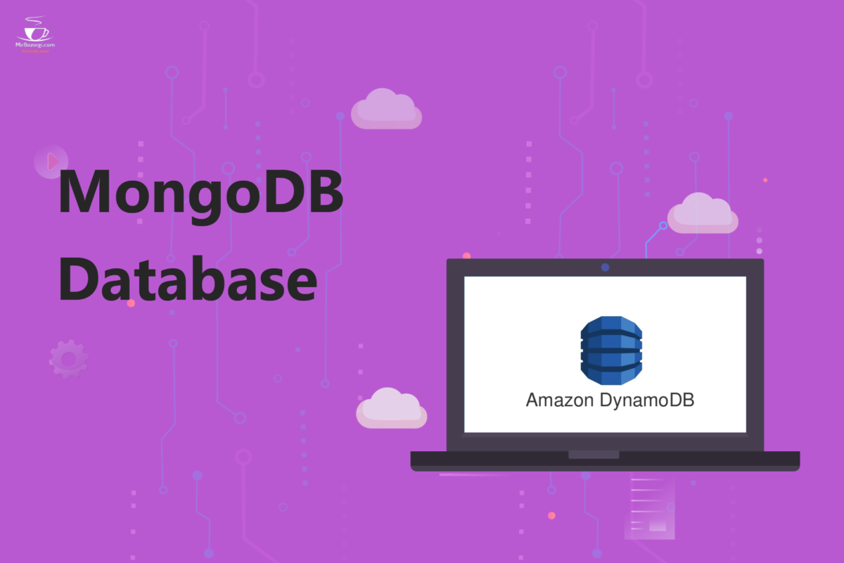 MongoDB Database – Mirbozorgi