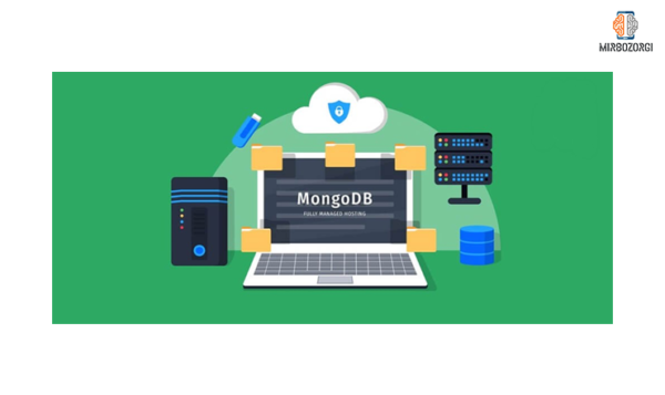 MongoDB Database – Mirbozorgi